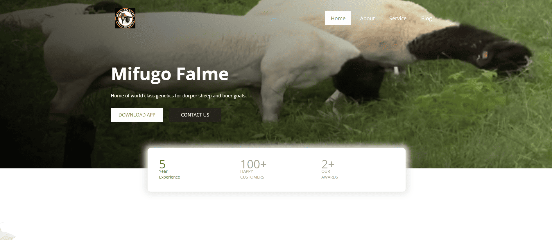 Mifugo Falme | About